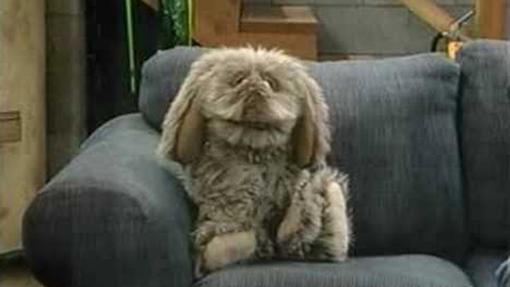 Las mascotas más famosas de las series de televisión